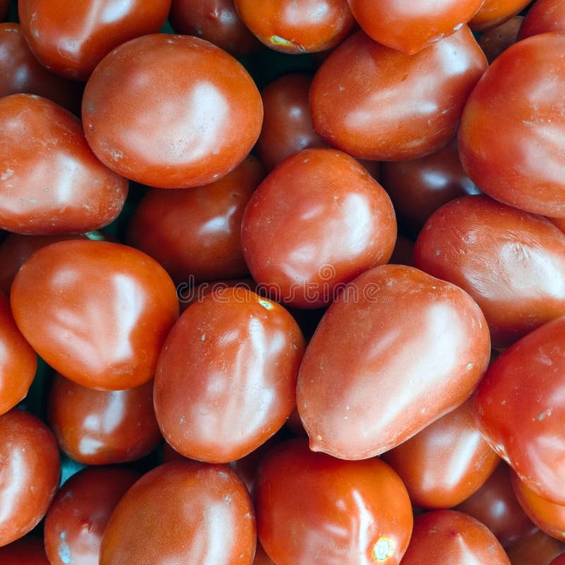 Group of tomatoes stock image. Image of tree, fruit - 266026971
