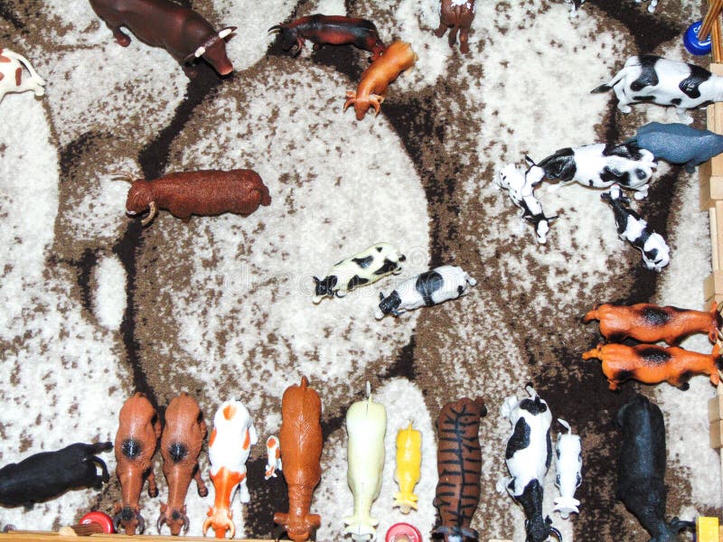Group of Toy Cows Arranged in a Pen by a Child from Romania Stock Photo ...