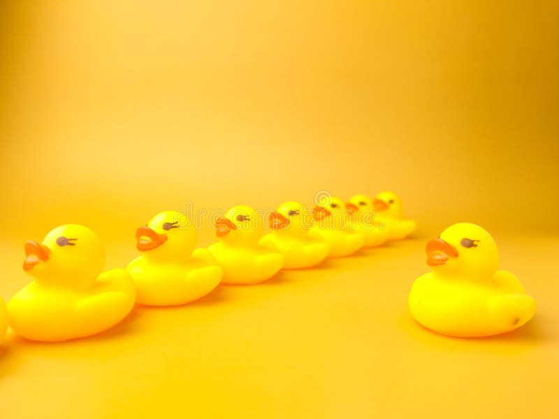 Group of Toy Ducks with Leadder Stock Photo - Image of rubber, young ...