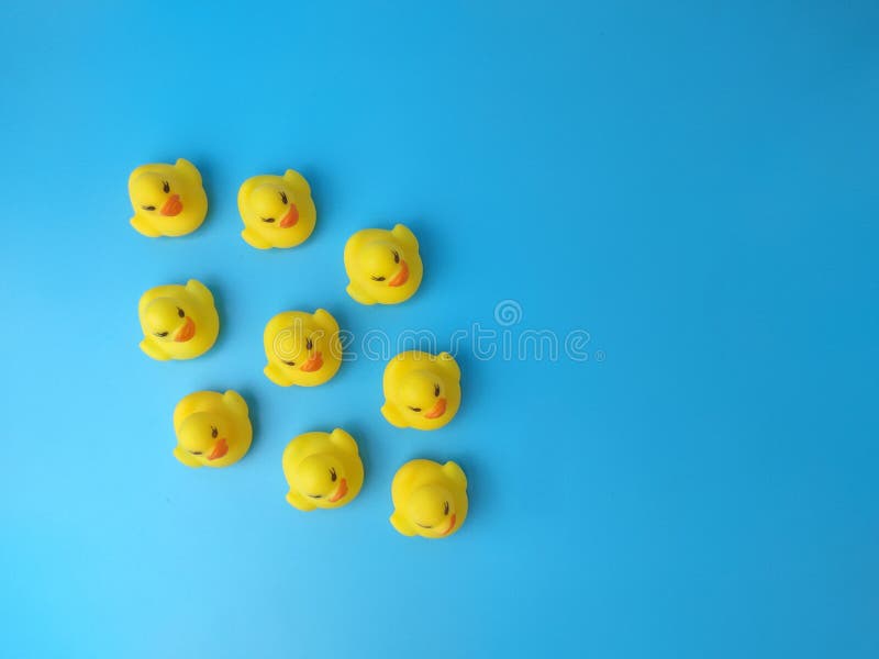 Group of Toy Ducks with Leadder Stock Photo - Image of crowd, leader ...