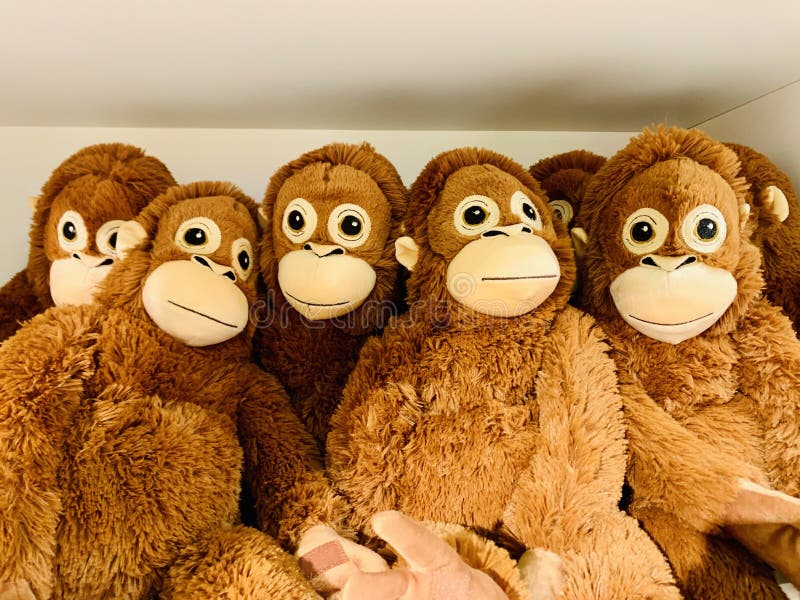 Gorilla No Background Stock Photos - Free & Royalty-Free Stock Photos ...