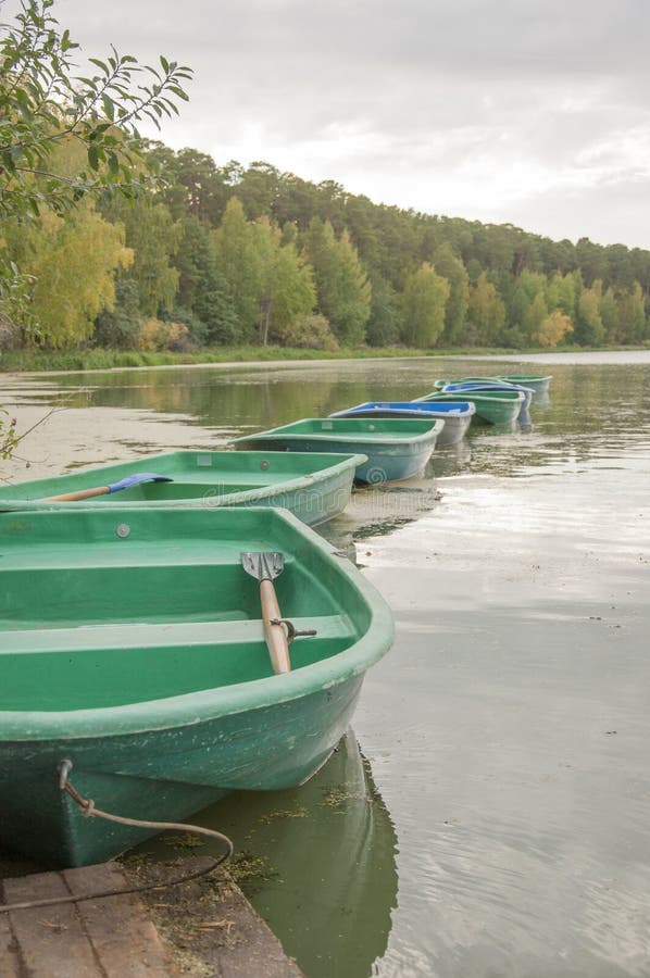 Group of Traditional Rowing Boats Moored To the Pier Stock Image ...
