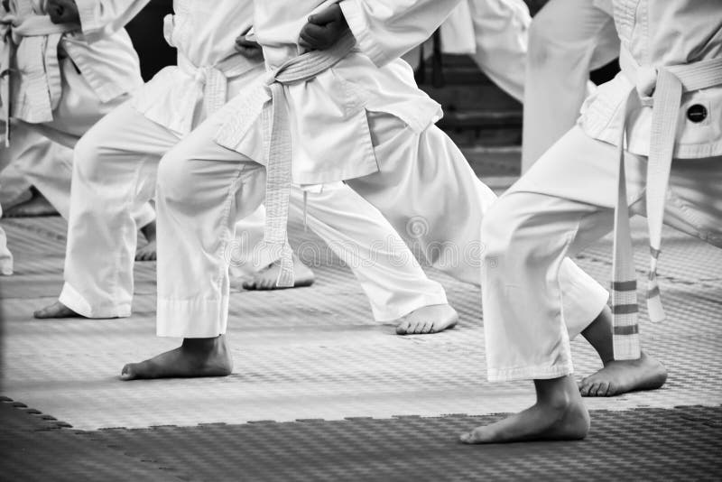 Karate training stock image. Image of children, fist - 117110855