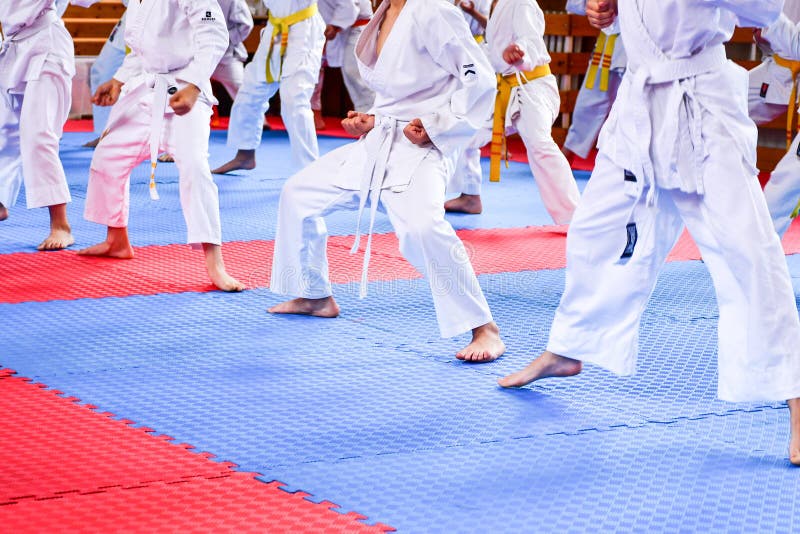 Karate training stock photo. Image of fist, exam, aikido - 117110864