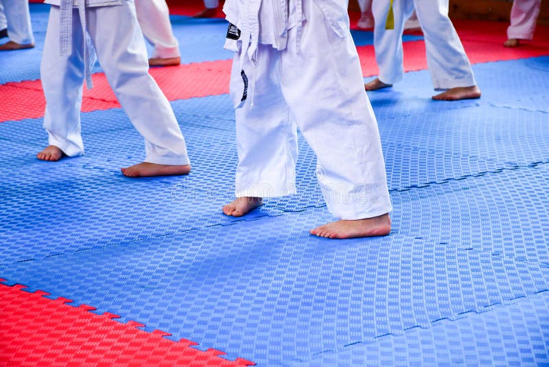 Karate training stock image. Image of combat, fist, hand - 117110867