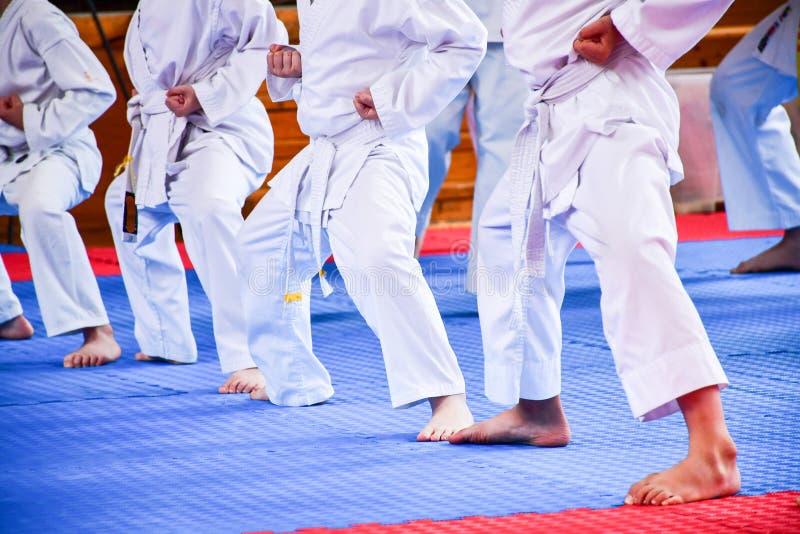 Karate training stock image. Image of jujitsu, attack - 117110863
