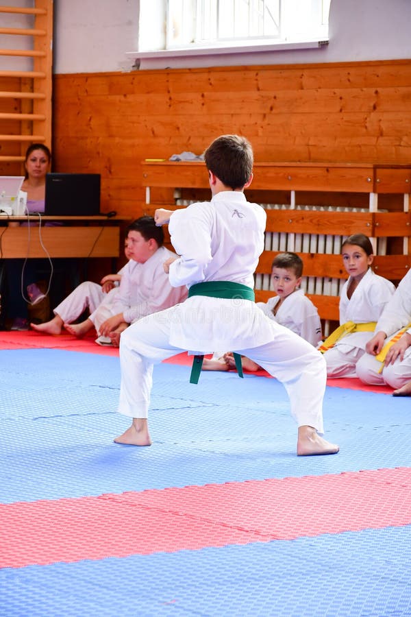 Karate training. editorial photo. Image of disciple - 117285721