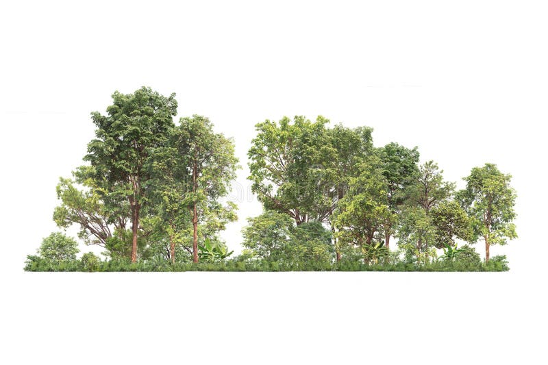 551,365 Background Outdoors Summer Forest Stock Photos - Free & Royalty ...