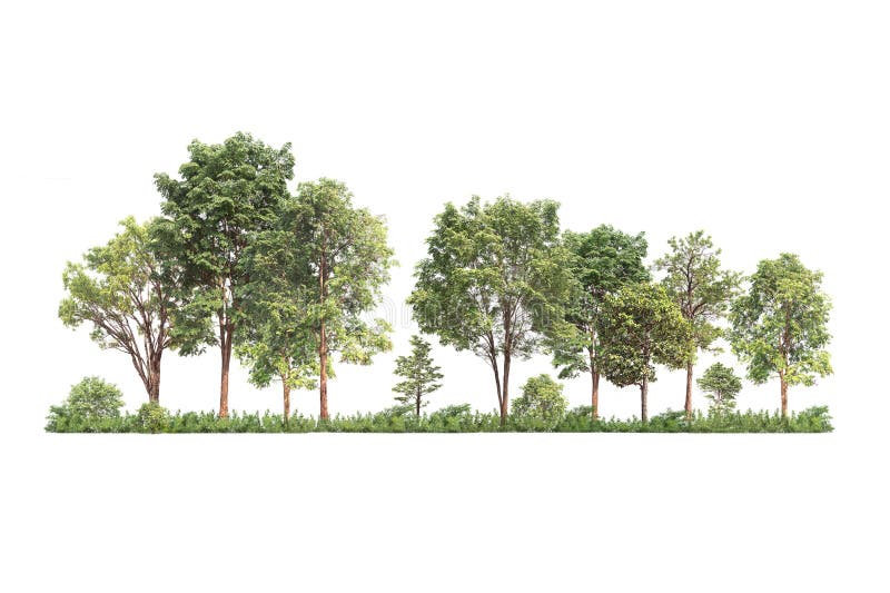 866,127 Forest Green Background Trees Stock Photos - Free & Royalty ...