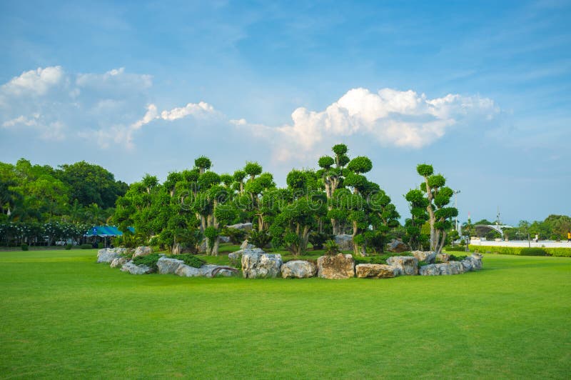 Group of Trees among the Rocks. Stock Photo - Image of boulders, park ...
