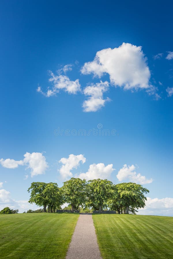 Group of Trees on a Hill with Gravel Path Stock Image - Image of rural ...