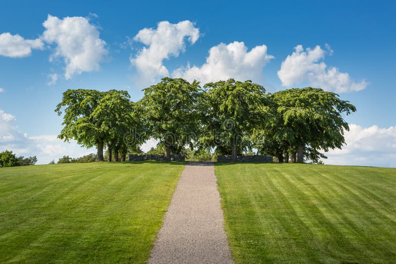 Group of Trees on a Hill with Gravel Path Stock Photo - Image of grass ...