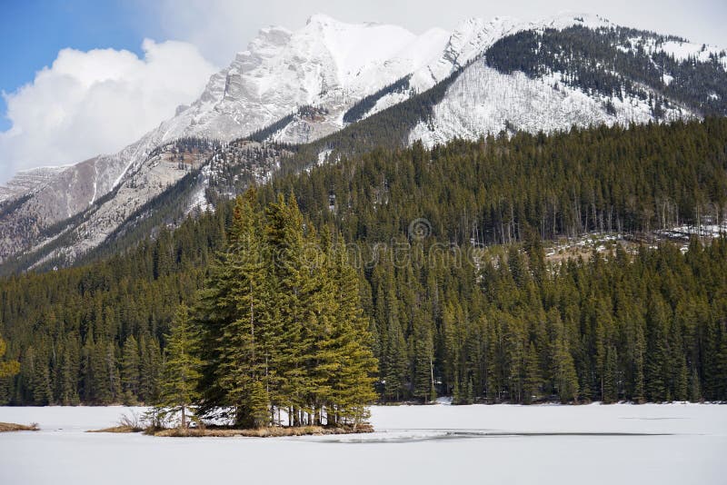 Tree Island in Front of a Vast Forest and Mountain Range Stock Photo ...