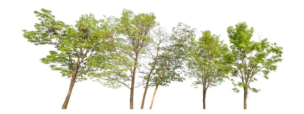 2,999 Alpha Group Stockstock Stock Photos - Free & Royalty-Free Stock ...