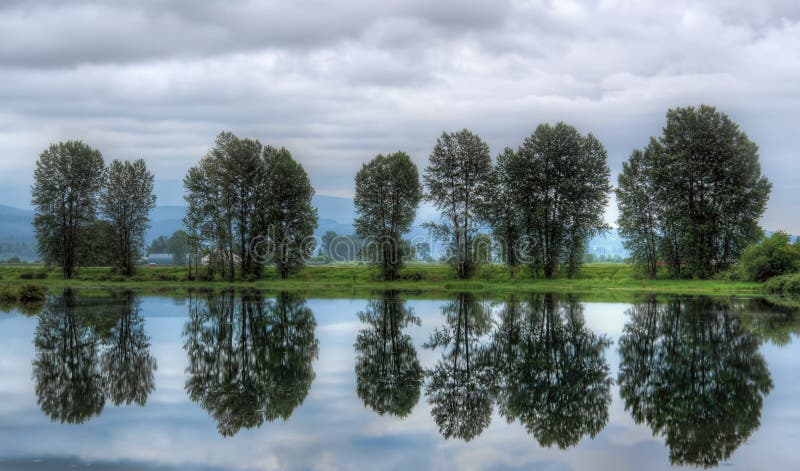 Perfect Reflection of Misty Forest in Lake Stock Photo - Image of blue ...