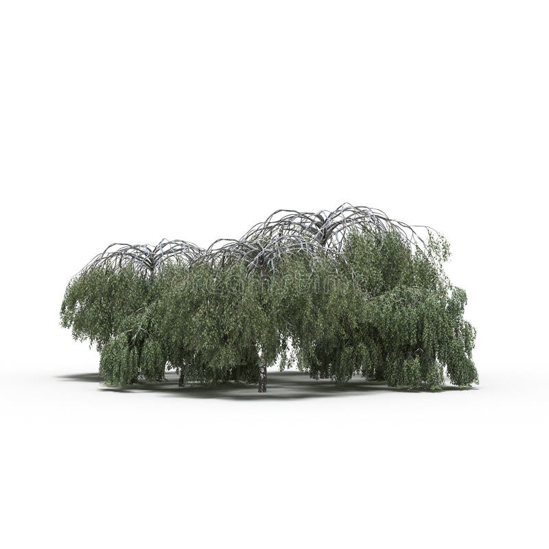 Group of Trees with a Shadow Under it Stock Illustration - Illustration ...