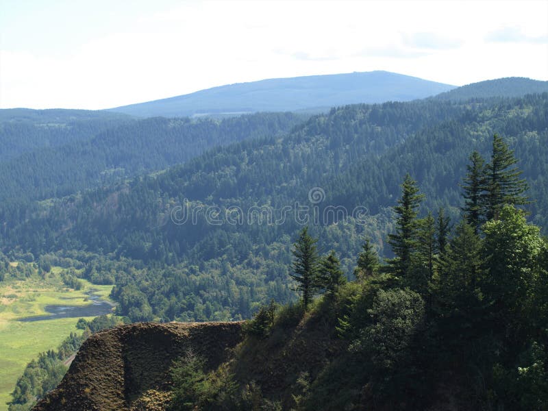 Pine Trees on Top of a Mountain Ridge Stock Photo - Image of sits, pine ...