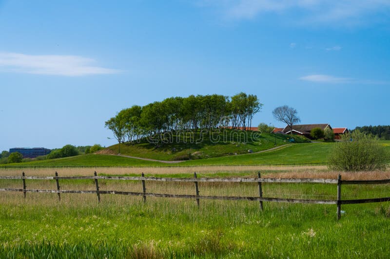 Group of Trees on a Small Hill by a Farm.. Stock Image - Image of ...
