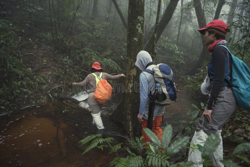 Group of Trekking in Rainforest Jungle. Adventure and Explorer Stock ...