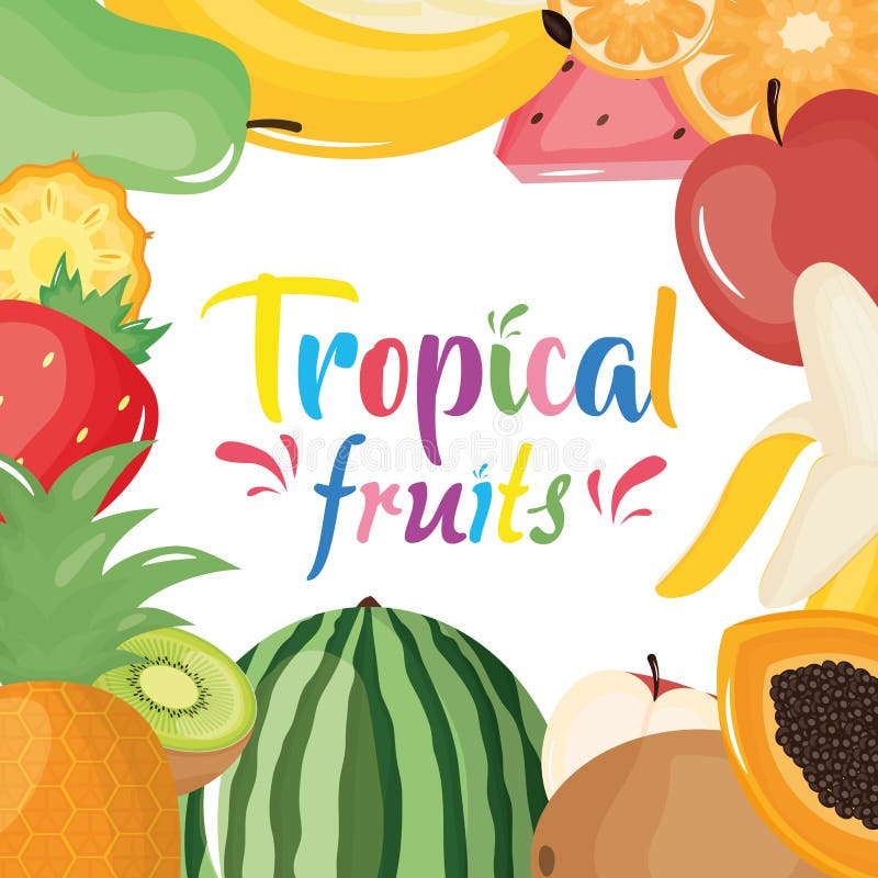 Group of Tropical and Fresh Fruits Frame Stock Vector - Illustration of ...