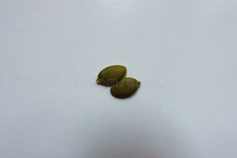 Group of Two Kernels of Pumpkin Seeds Stock Photo - Image of pepita ...