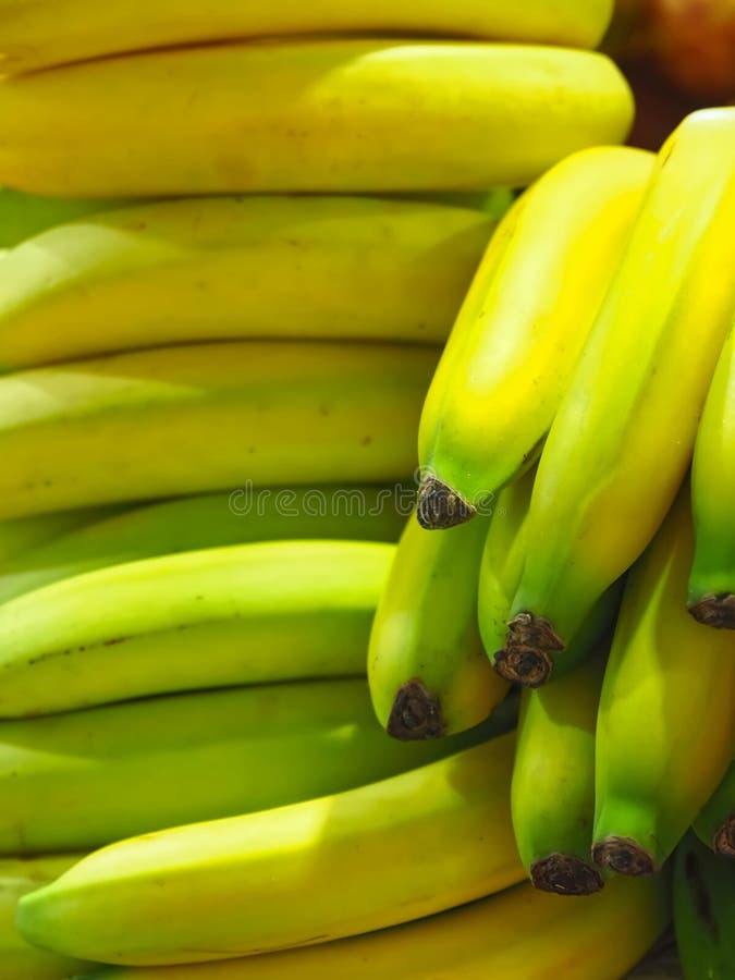 Group of Unpeeled Ripe Bananas Stock Photo - Image of ripe, agriculture ...