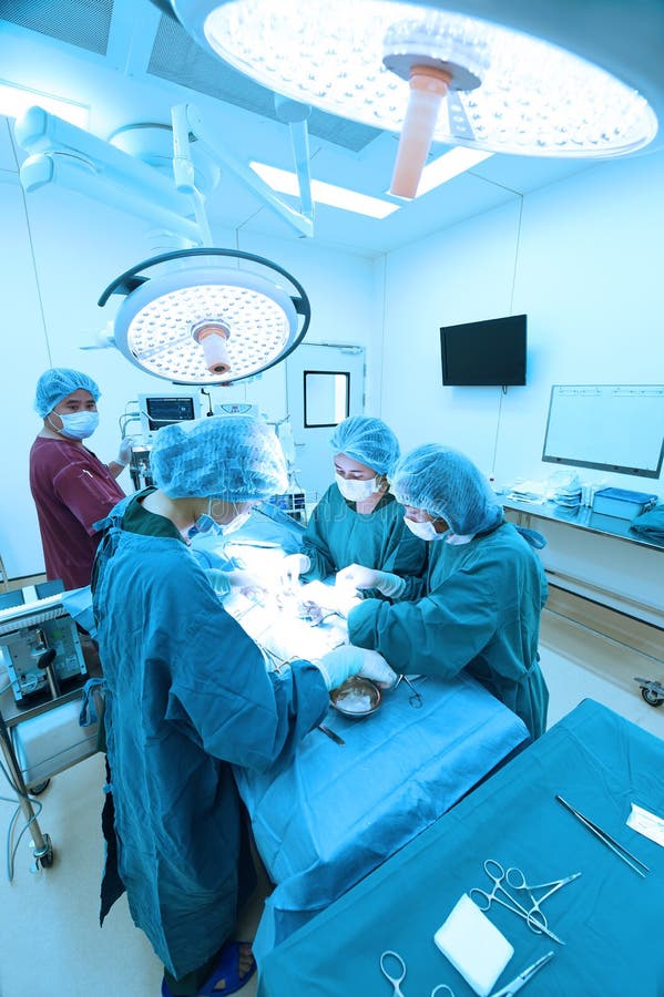 Group of Veterinarian Surgery in Operation Room Stock Photo - Image of ...