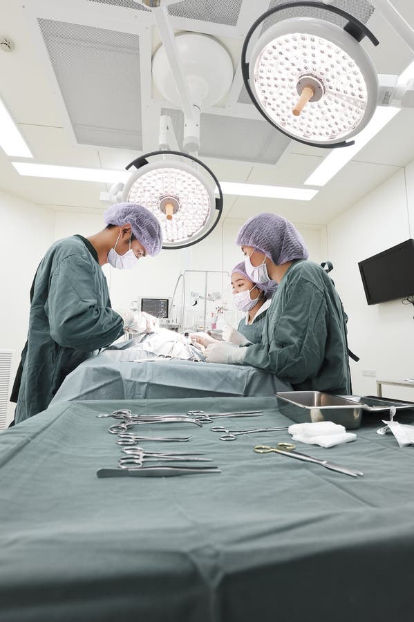 Group of Veterinarian Surgery in Operation Room Stock Image - Image of ...