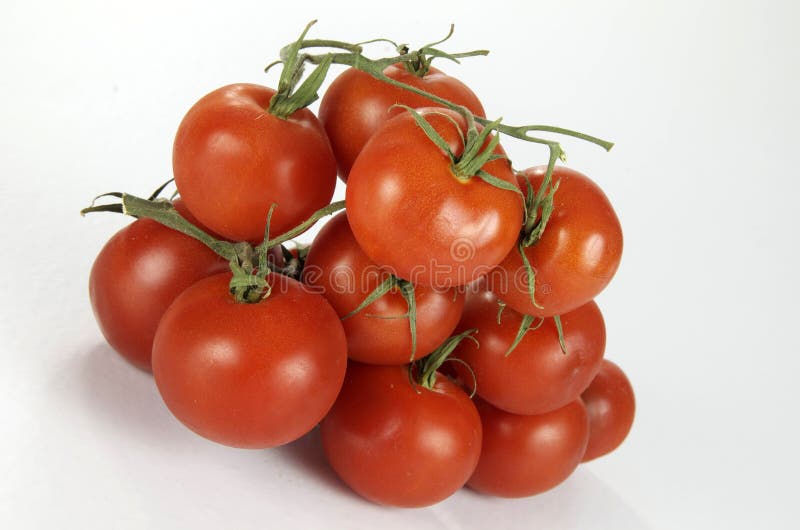 Group of Vine Ripened Tomatoes on the Vine Stock Photo - Image of ...