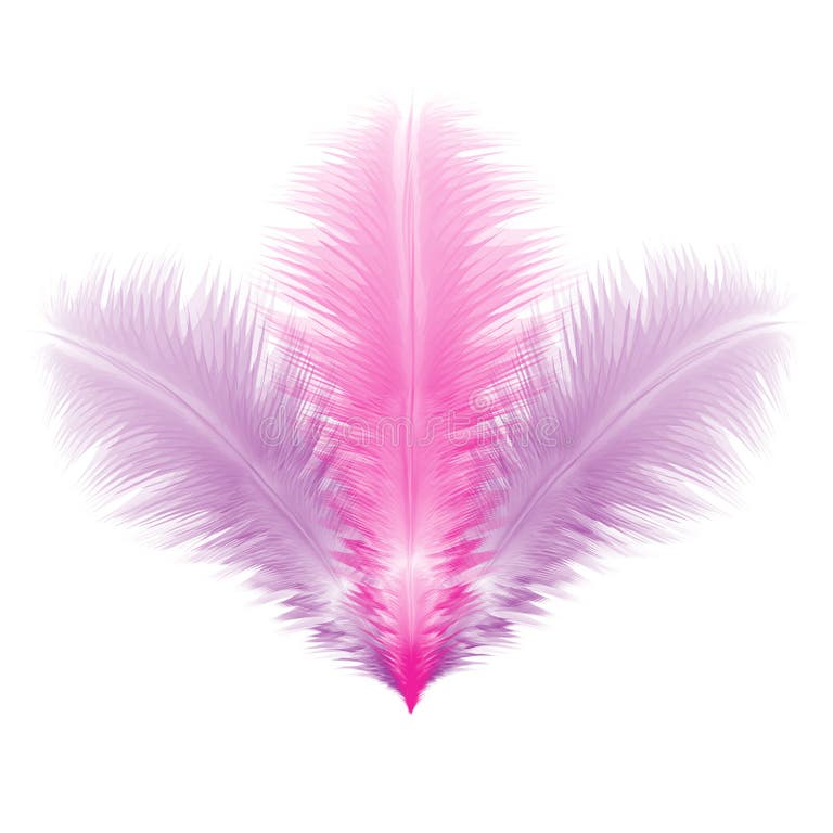 Group of Violet and Pink Feathers Stock Vector - Illustration of shape ...
