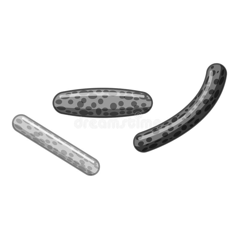 Gray Bacteria Stock Illustrations – 1,626 Gray Bacteria Stock ...
