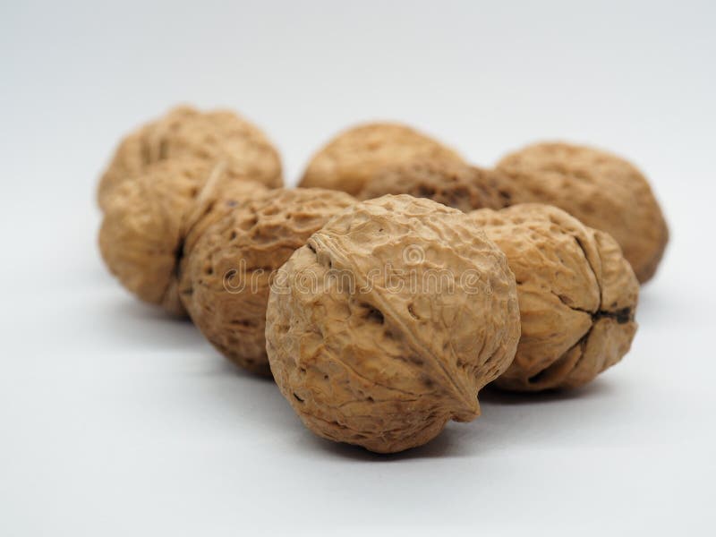 Walnut Isolated on White Background Stock Photo - Image of background ...