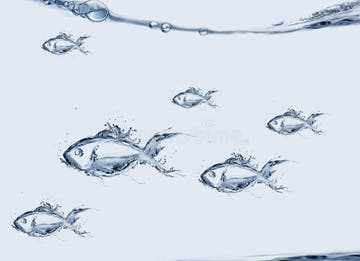 Group of Water Fish Swimming Stock Photo - Image of beautiful ...