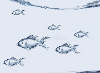 Group of Water Fish Swimming Stock Photo - Image of beautiful ...