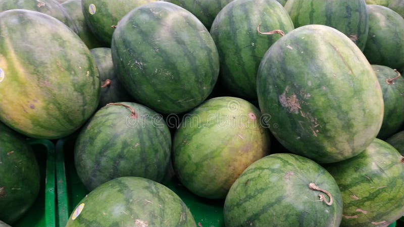 A Group of Watermelons in a Box Stock Photo - Image of summer, gourd ...