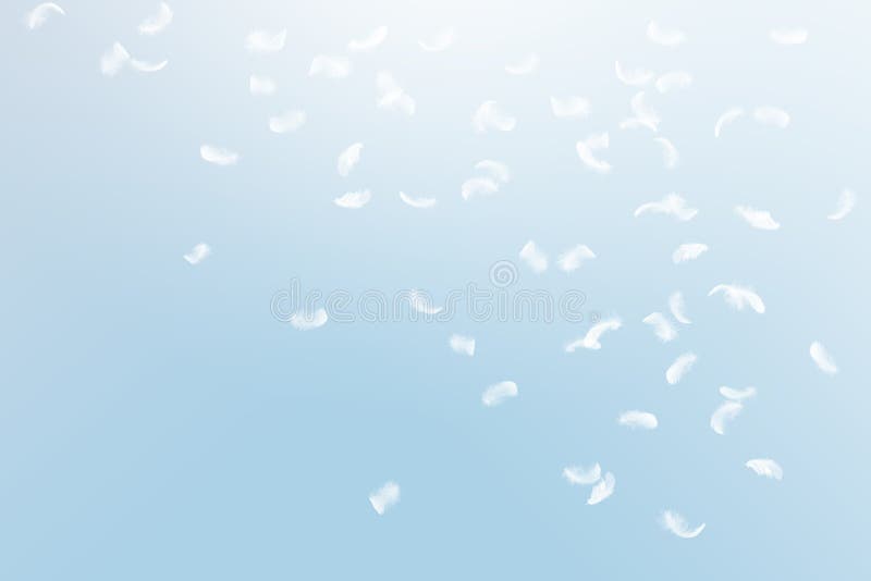 Group of White Bird Feathers Floating in the Air. Feathers Falling ...