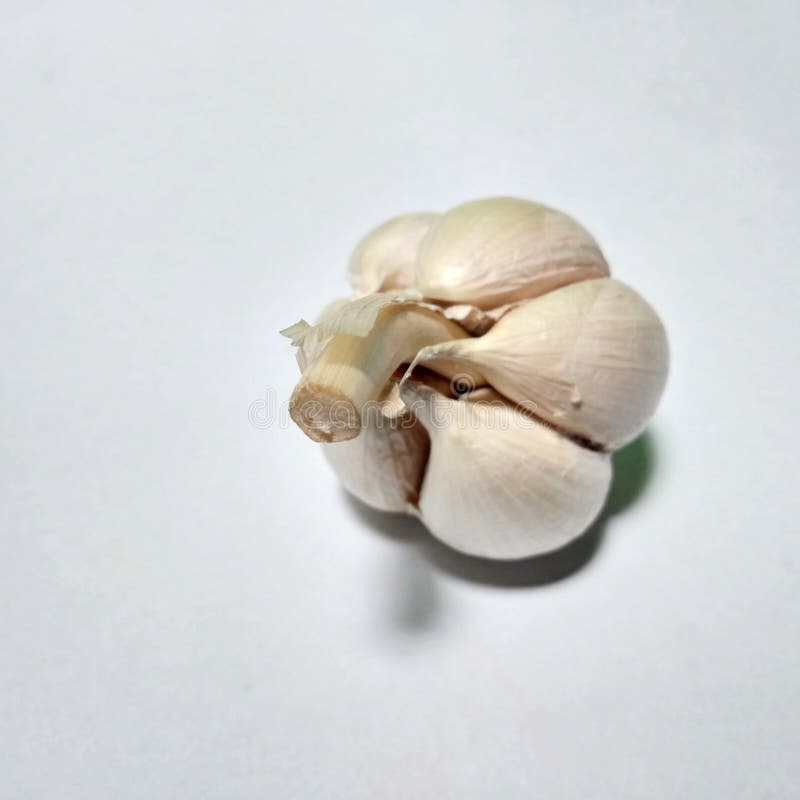 Group of white gingers stock photo. Image of food, ginger - 265175296