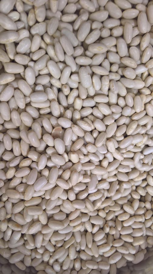 Group of White Sugar Beans. Stock Image - Image of hand, decoration ...