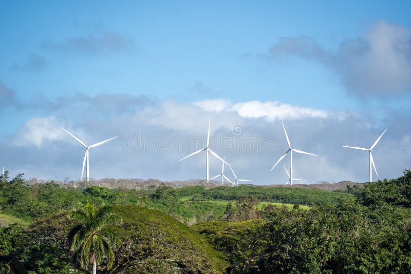 Group of White Windmills in the Middle of a Green Forest on a Sunny Day ...