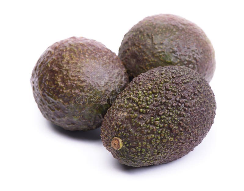Group of whole avocado stock photo. Image of healthy - 268299120