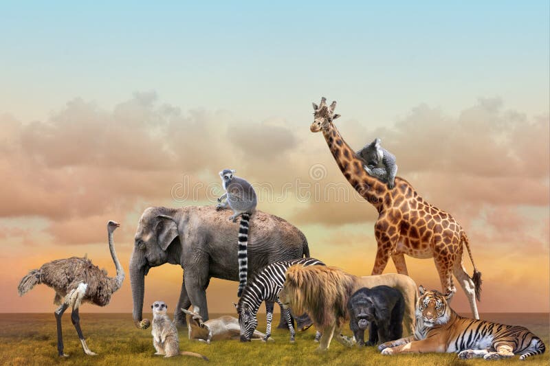 Wild Savanna Animals Collection Stock Image - Image of african, bright ...