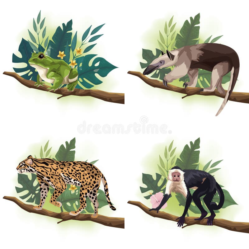 Group of Wild Animals in Tree Branches Scenes Stock Vector ...