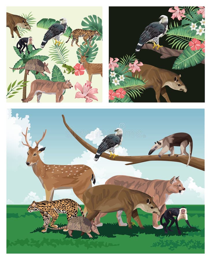 Group of Wild and Exotic Animals Stock Vector - Illustration of natural ...