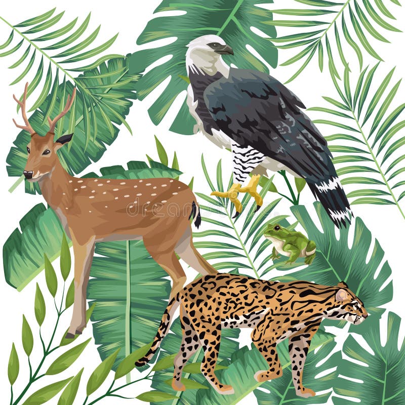Amazon Rainforest Animals Stock Illustrations – 176 Amazon Rainforest ...