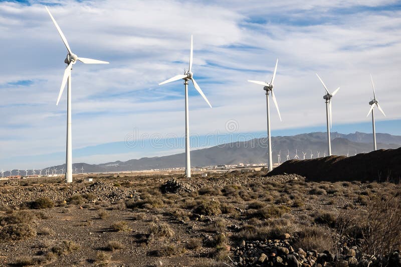 A Group of Wind Turbines are Standing in a Field Stock Photo - Image of ...