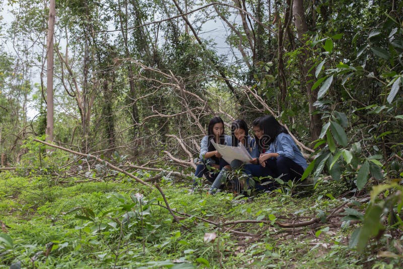 Group Women of Good-natured Young Women in Nature Stock Image - Image ...
