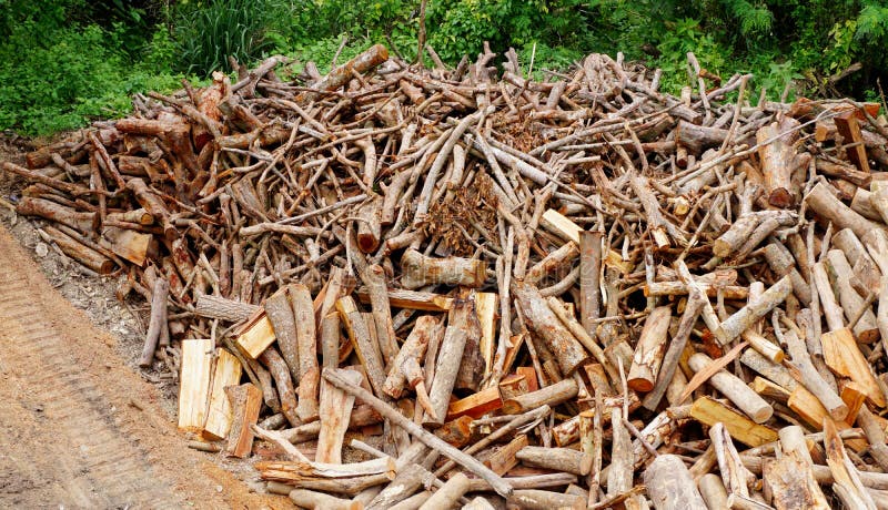 Group of Wood Cut on Ground Stock Photo - Image of stack, ground: 250533492