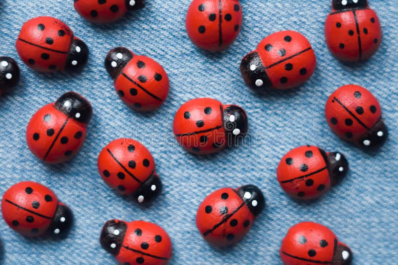 A Group of Ladybugs on Weathered Wood Stock Photo - Image of insect ...