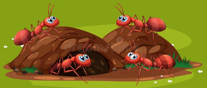 Small Ants Anthill Clip Art Stock Illustrations – 14 Small Ants Anthill ...