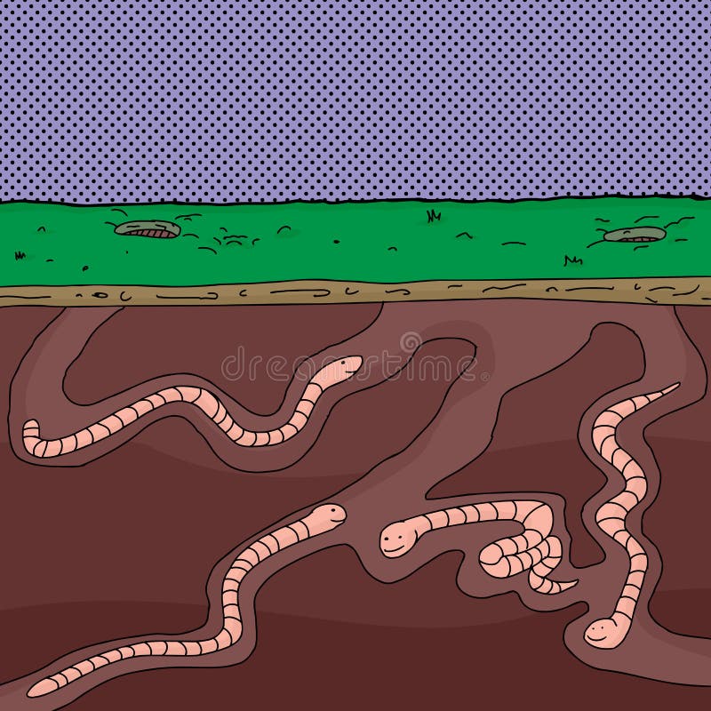 Underground Worm Tunnels stock vector. Illustration of soil - 44410723
